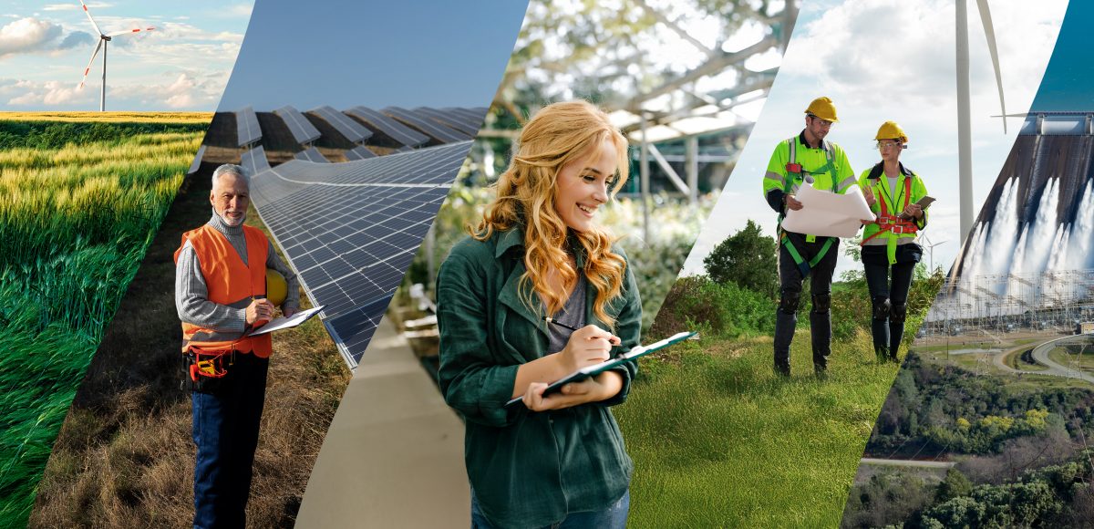 Convocatoria de ayudas a proyectos de Emprendimiento Verde | Educación ...