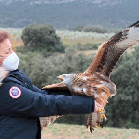 El equipo del CERI Pilar Cervera, Yolanda Ramiro, Amalia García ...